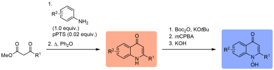 Synthetic Organic Chemistry | VUB ORGC